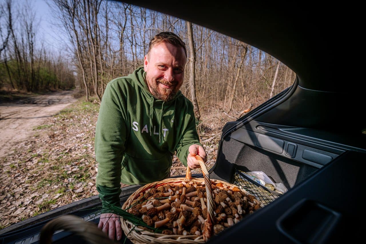 Spring’s here, let’s go to the woods – and get some morels! - SALT Budapest